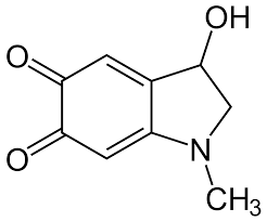 Trivia Facts about Adrenochrome | BenchChem